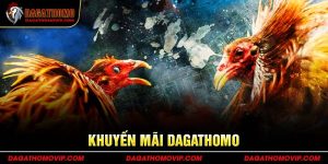 Dagathomo 🎖️ Xem Đá Gà Trực Tiếp Thomo, Cựa Sắt, Cựa Dao Hàng Đầu